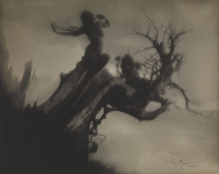 Anne Brigman: A Visionary in Modern Photography - Nevada Museum of Art