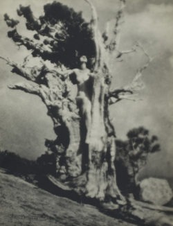 Anne Brigman: A Visionary in Modern Photography - Nevada Museum of Art