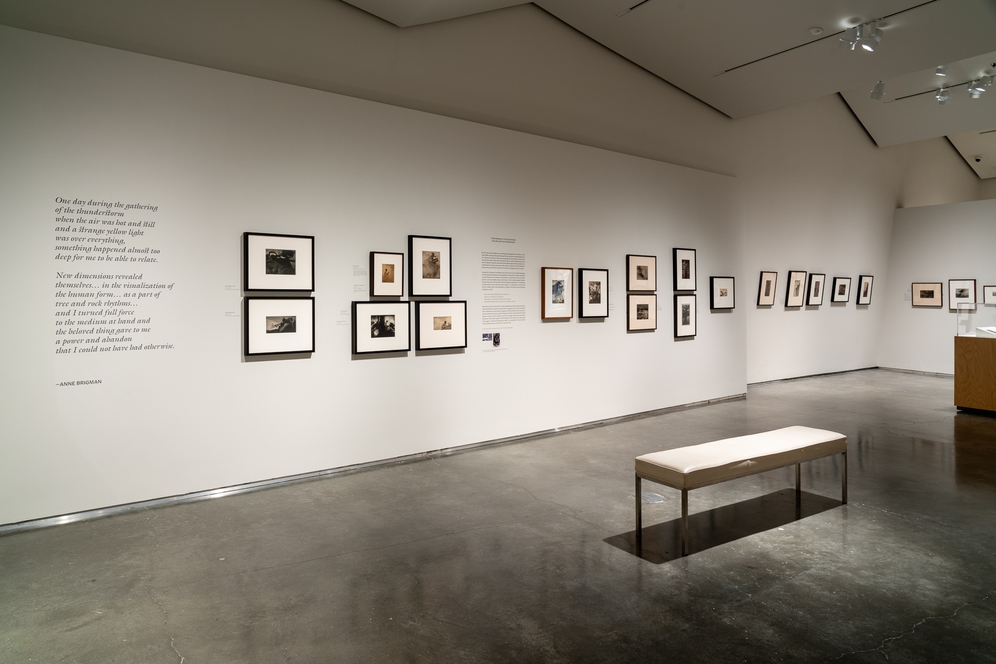 Anne Brigman: A Visionary in Modern Photography | Nevada Museum of Art