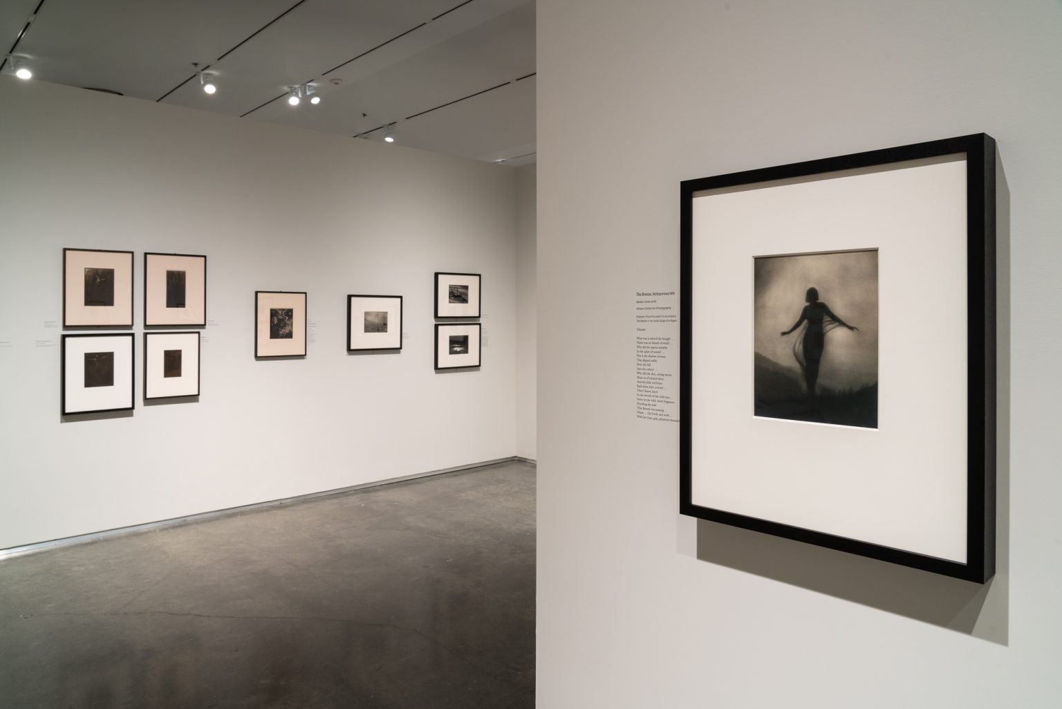 Anne Brigman: A Visionary in Modern Photography | Nevada Museum of Art