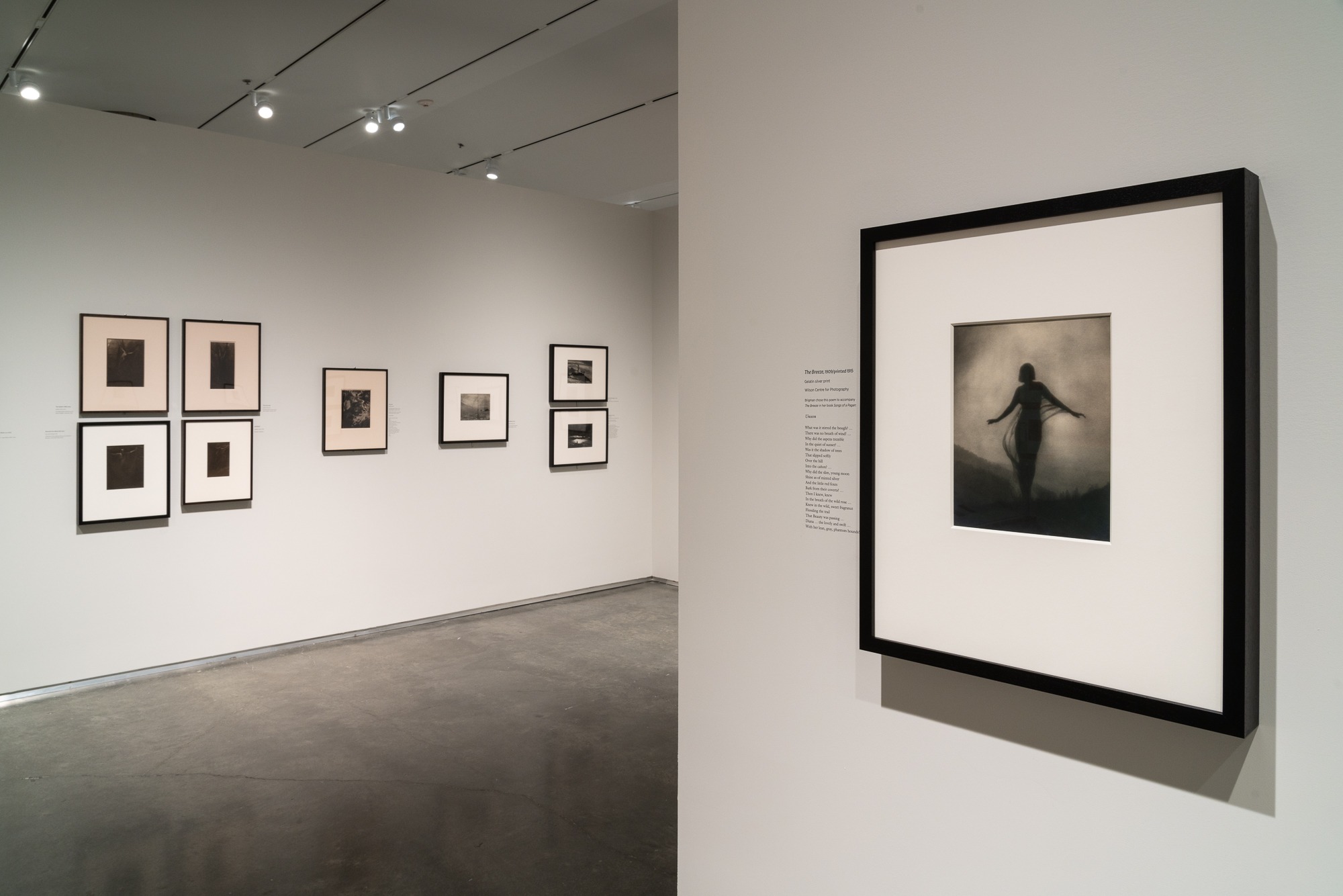 Anne Brigman: A Visionary in Modern Photography | Nevada Museum of Art