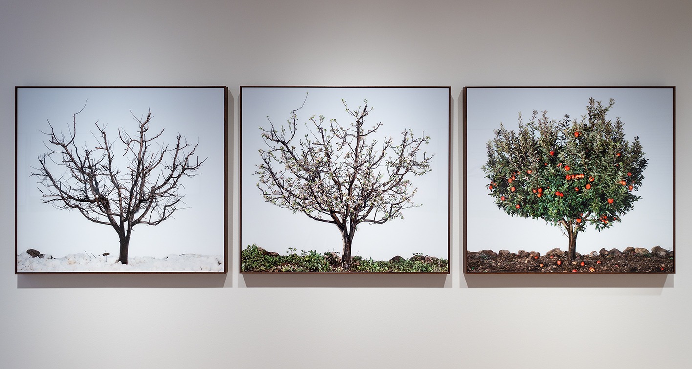 Celebrating Israel's 70th Anniversary: Michal Rovner and Tal Shochat ...