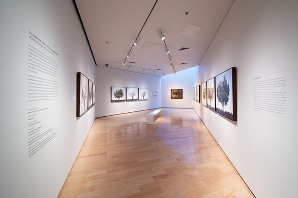 Celebrating Israel's 70th Anniversary: Michal Rovner and Tal Shochat ...