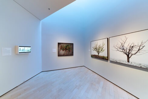 Celebrating Israel's 70th Anniversary: Michal Rovner and Tal Shochat ...