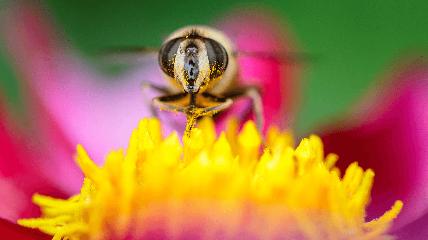 Macro Photography - Nevada Museum of Art