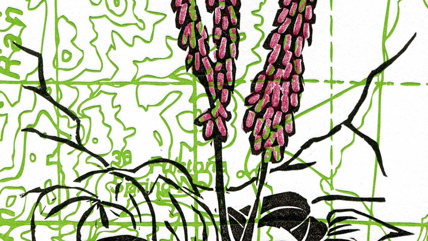 Linocuts: Botanical Blossoms - Nevada Museum of Art