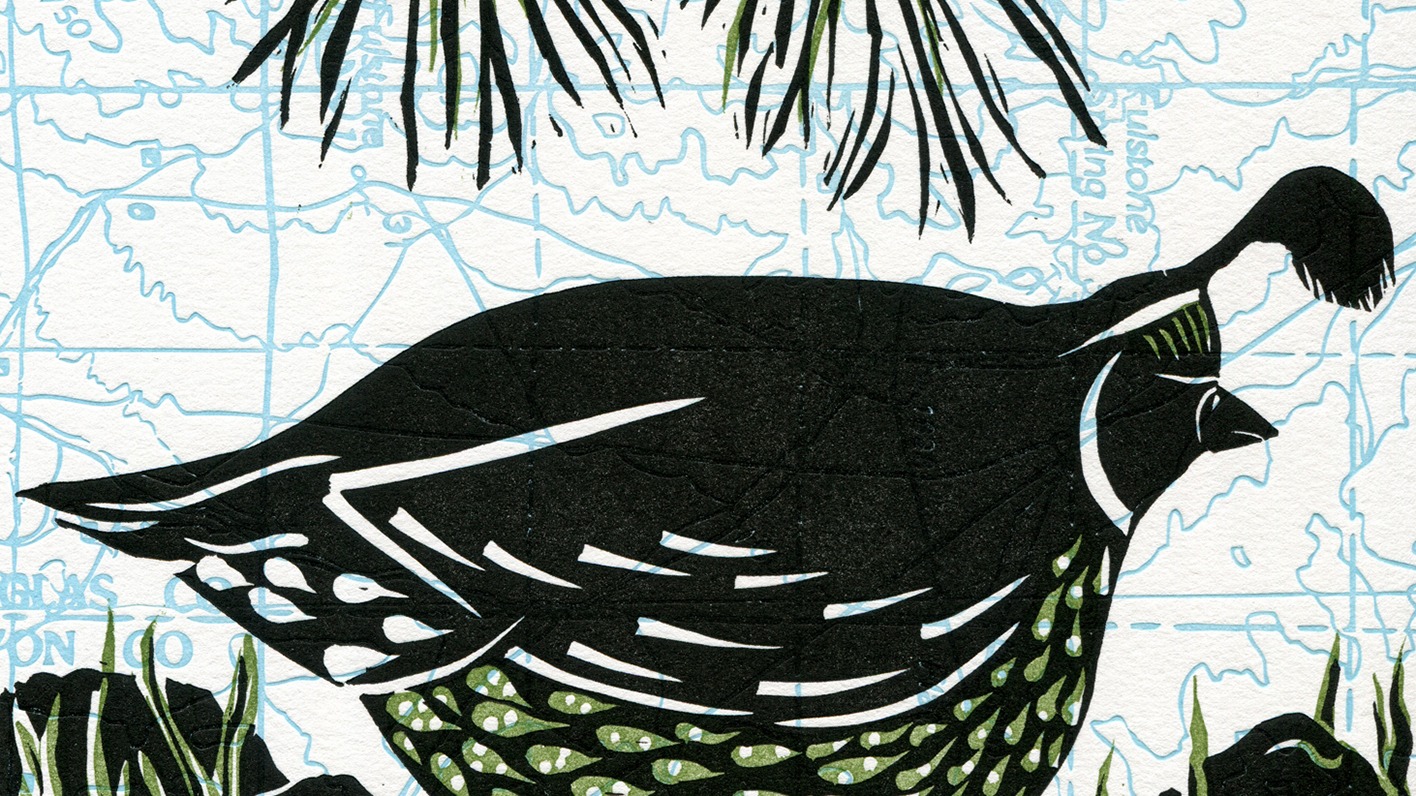 Birds in Linocut - Nevada Museum of Art