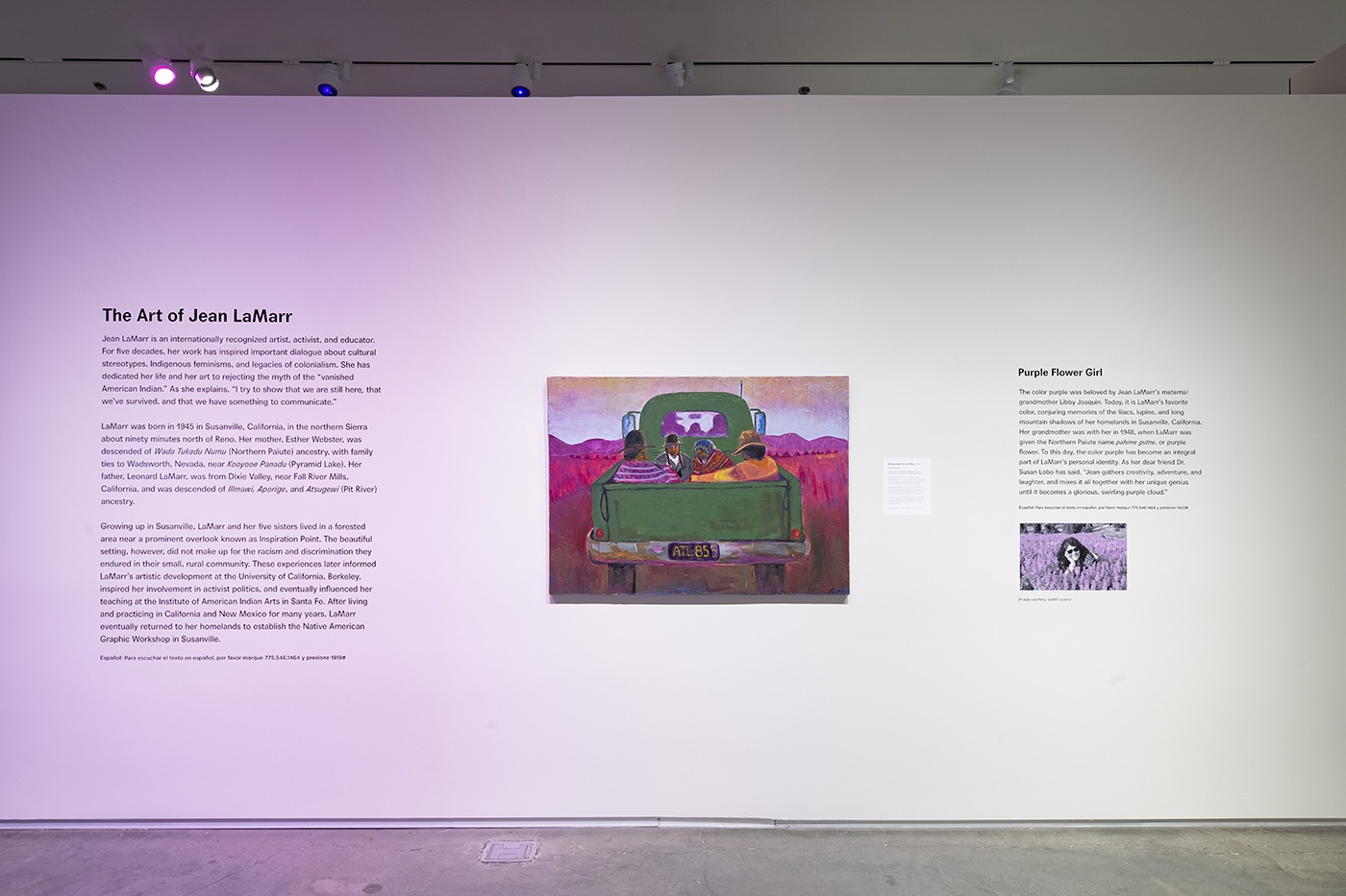 The Art of Jean LaMarr - Nevada Museum of Art