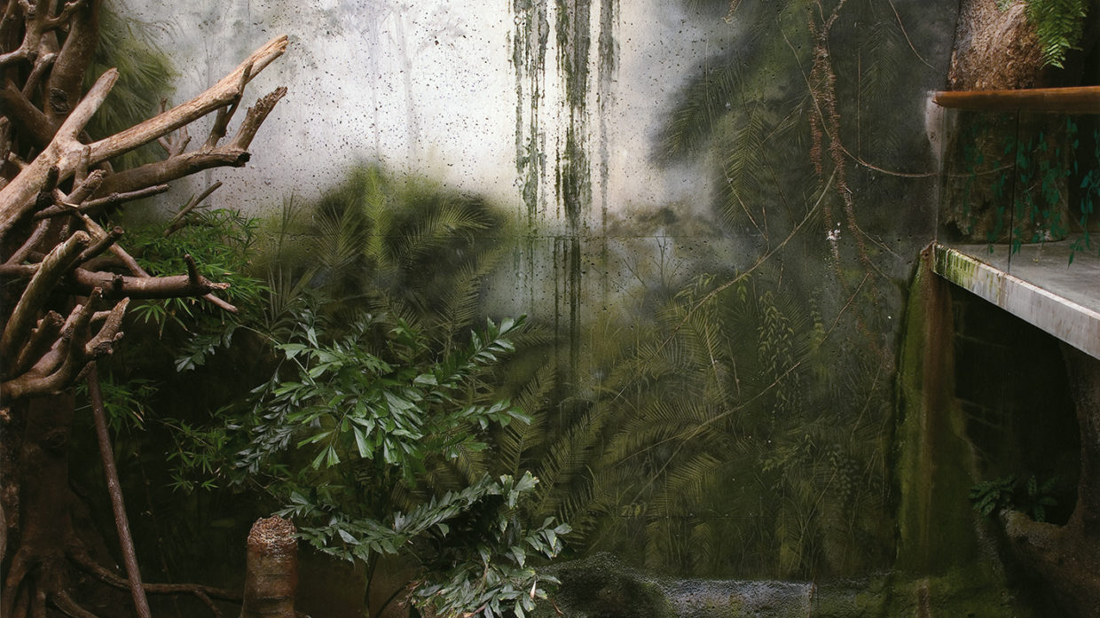 Dana Fritz: Terraria Gigantica - Nevada Museum of Art