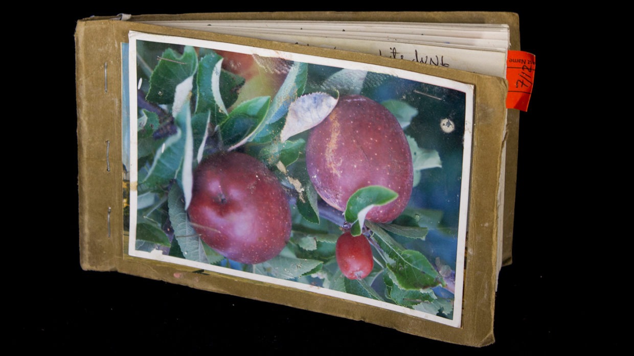 Jessica Rath: Projects - Nevada Museum of Art