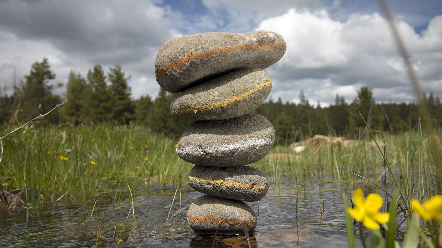 Sagehen Creek Field Station: Artists in Residence Program - Nevada ...