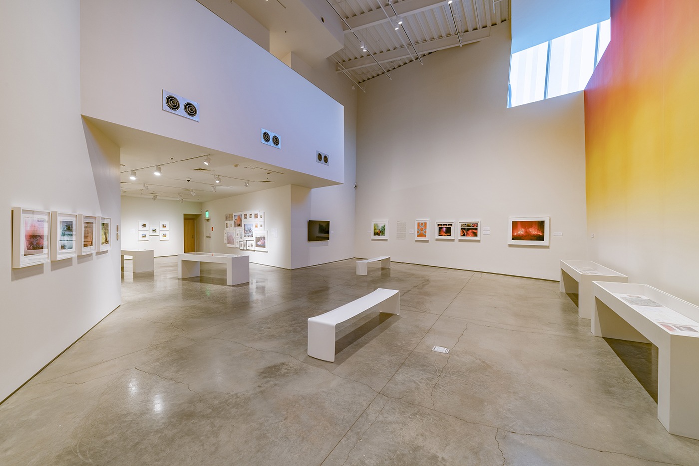 Judy Chicago: Dry Ice, Smoke, and Fireworks Archive - Nevada Museum of Art