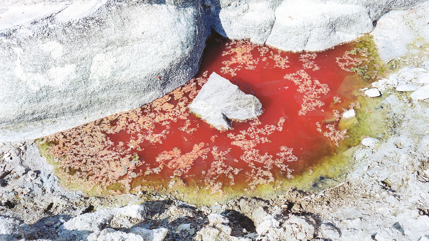 Michael Lundgren: Matter - Nevada Museum of Art