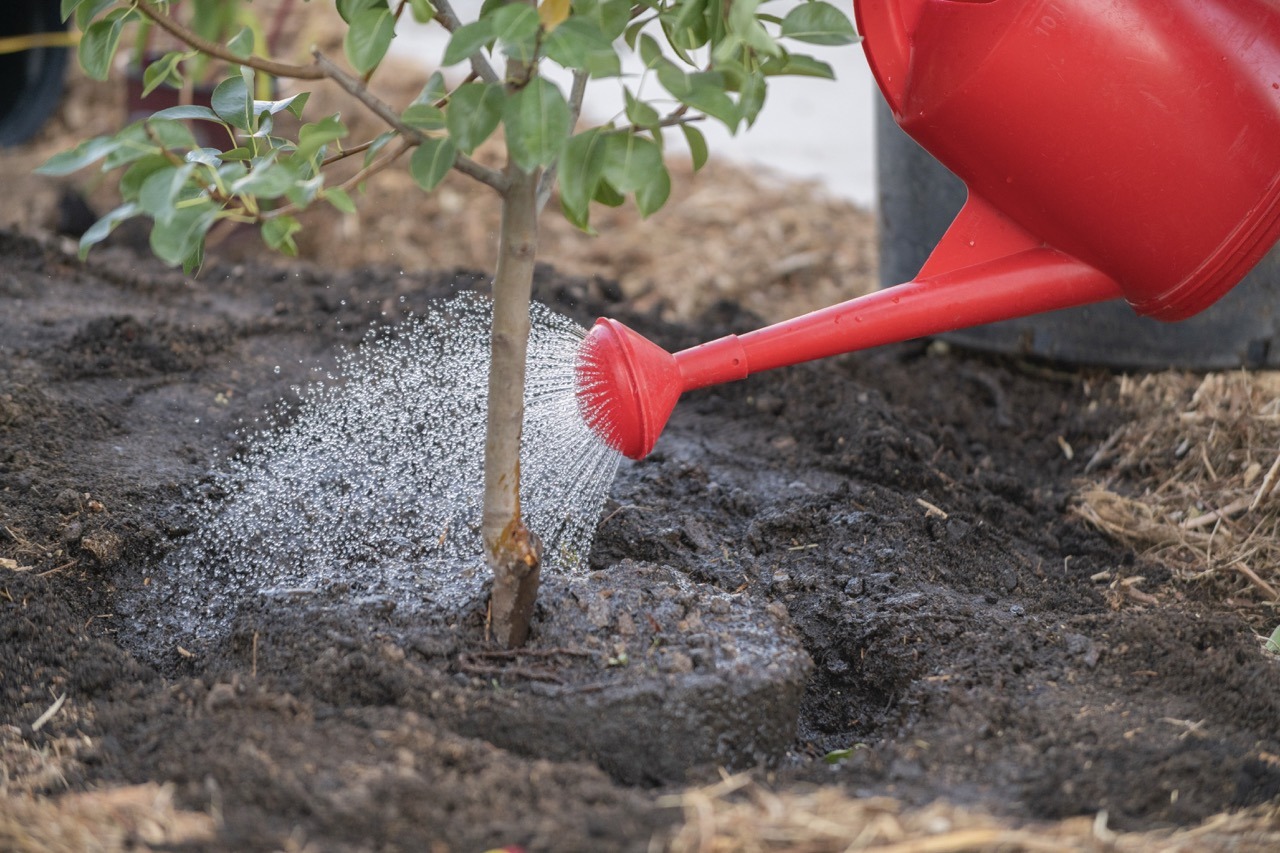 Fallen Fruit: Monument to Sharing - Nevada Museum of Art