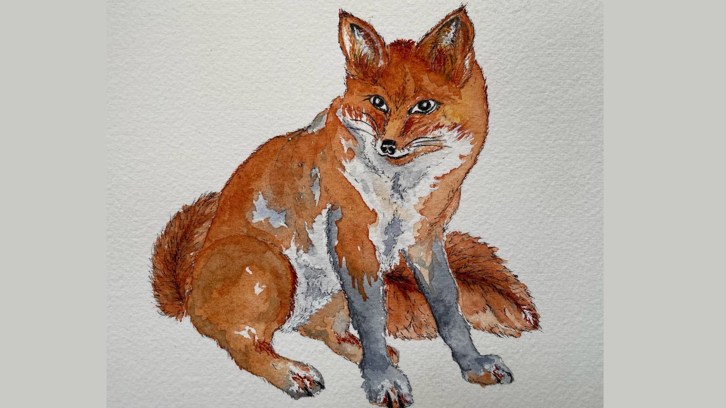 Animals in Ink and Watercolor - Nevada Museum of Art