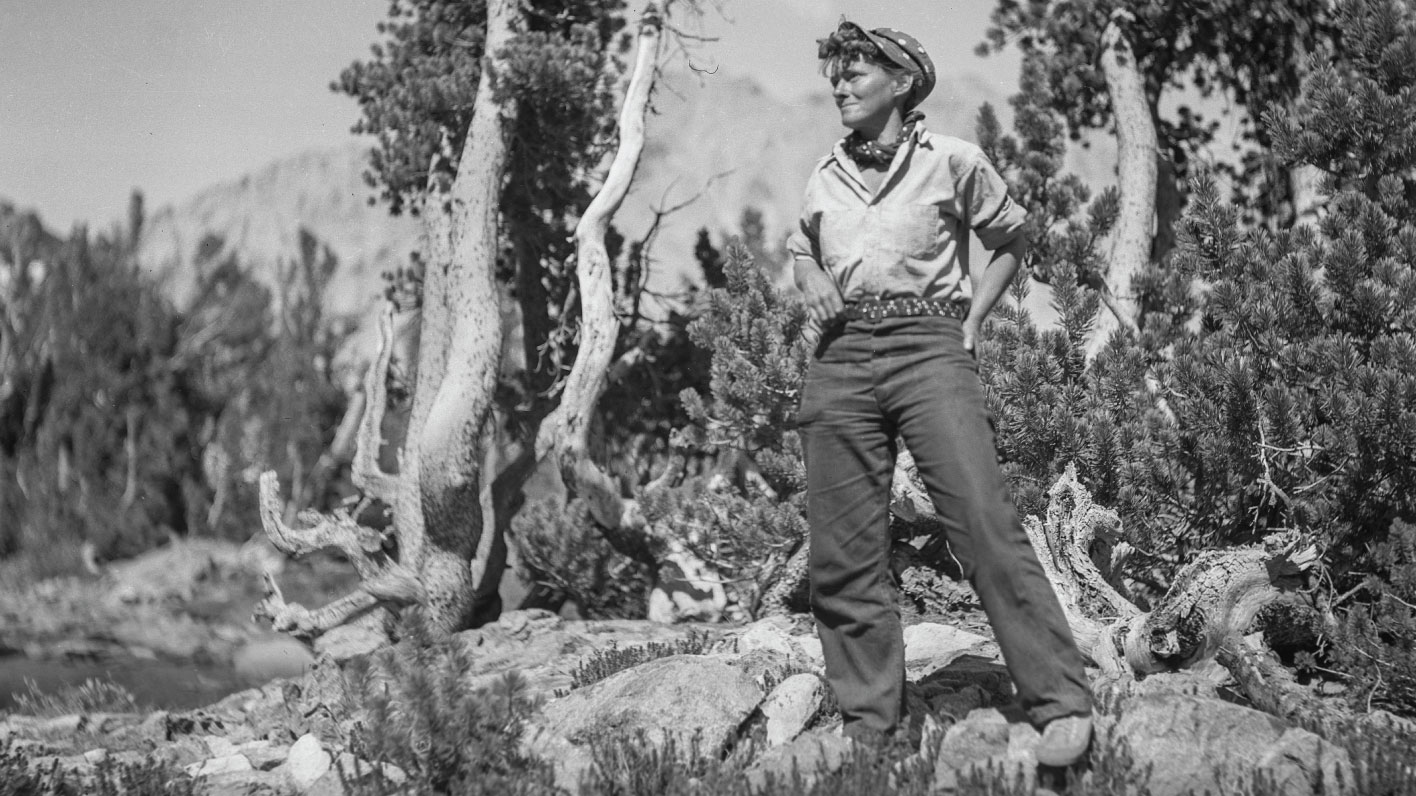 Exhibition Walkthrough - Adaline Kent: The Click of Authenticity ...