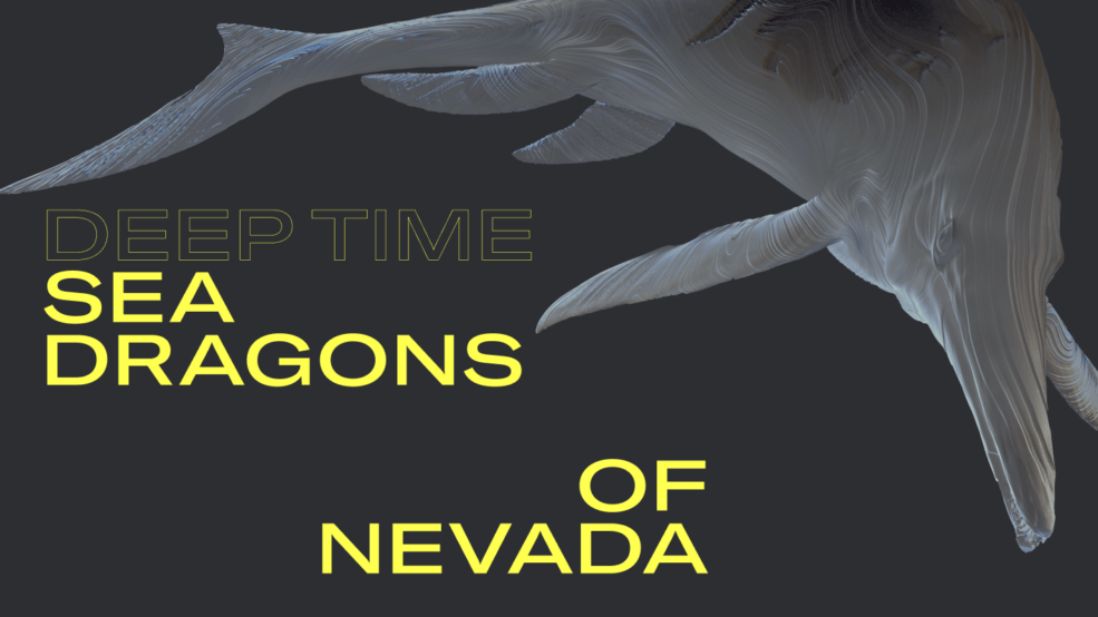 Deep Time: Sea Dragons of Nevada - Nevada Museum of Art