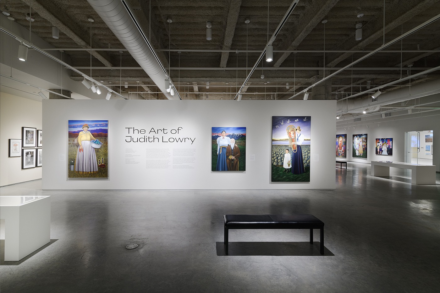 The Art of Judith Lowry - Nevada Museum of Art