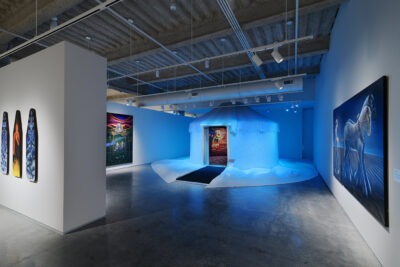 The Art of Judith Lowry - Nevada Museum of Art