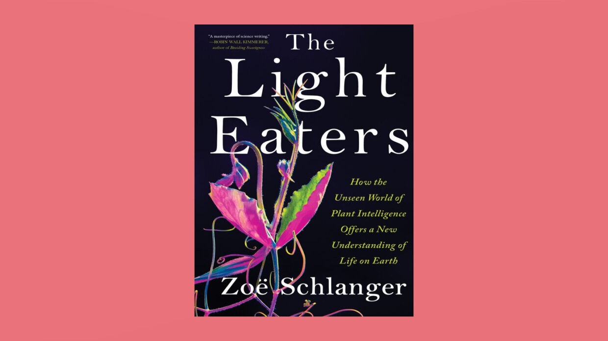 Fallen Fruit: Monument to Sharing - Nevada Museum of Art