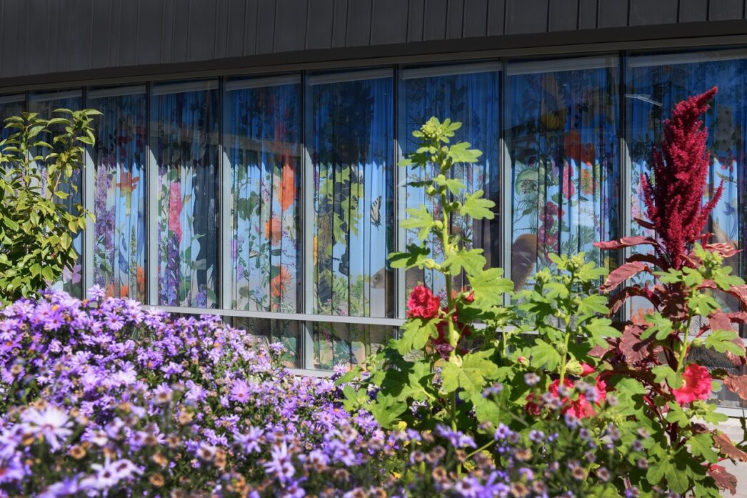 Fallen Fruit: The Power of Pollinators (And Other Living Things ...