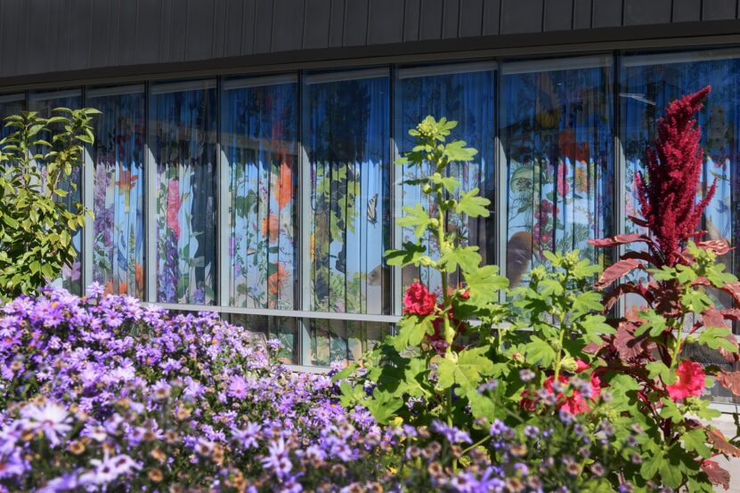 Fallen Fruit: The Power of Pollinators (And Other Living Things ...